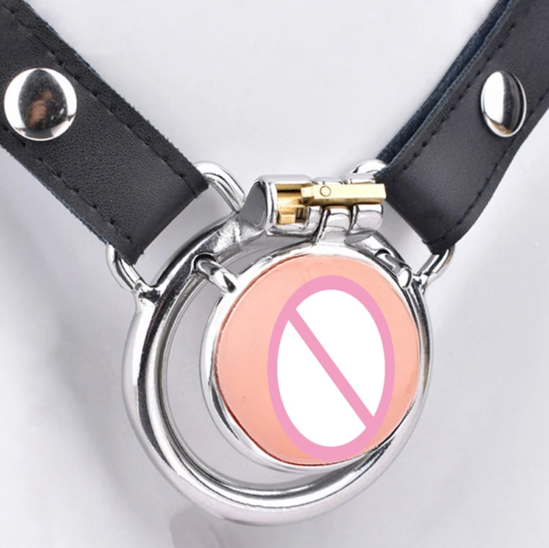 Spiked Chastity Cage with Detachable Clitoris Shape Urethral Plug ...